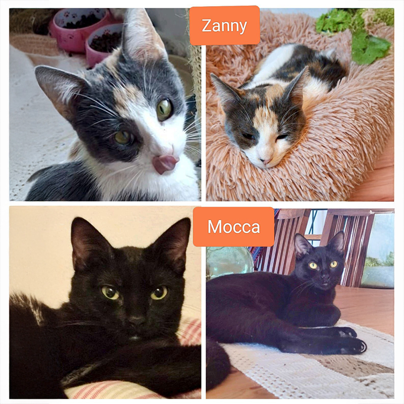 Die Mallorca News für 05.01.2026 - Immobilien Mallorca Bescheid wissen